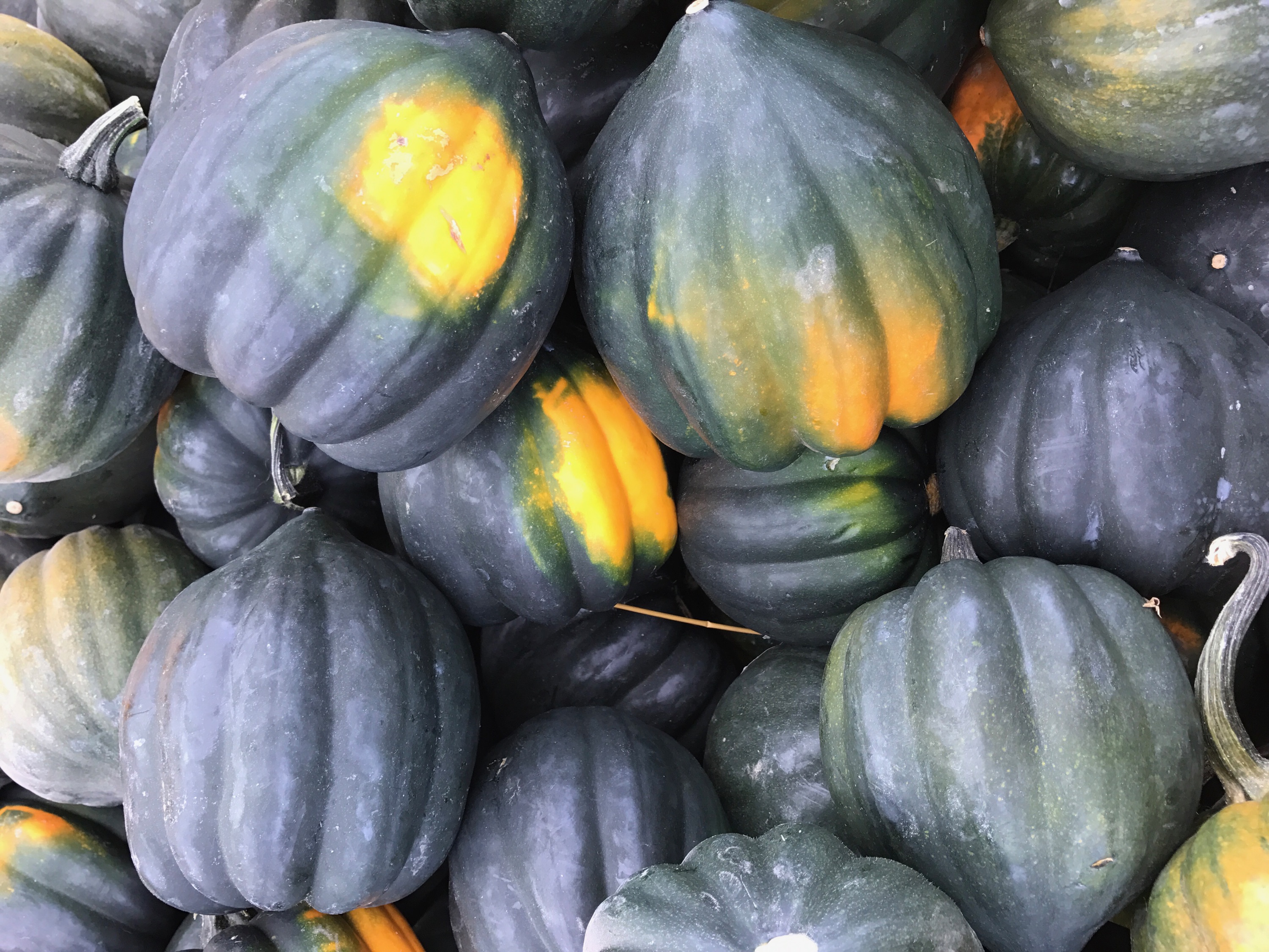 Five things to try: November - Motive Nutrition